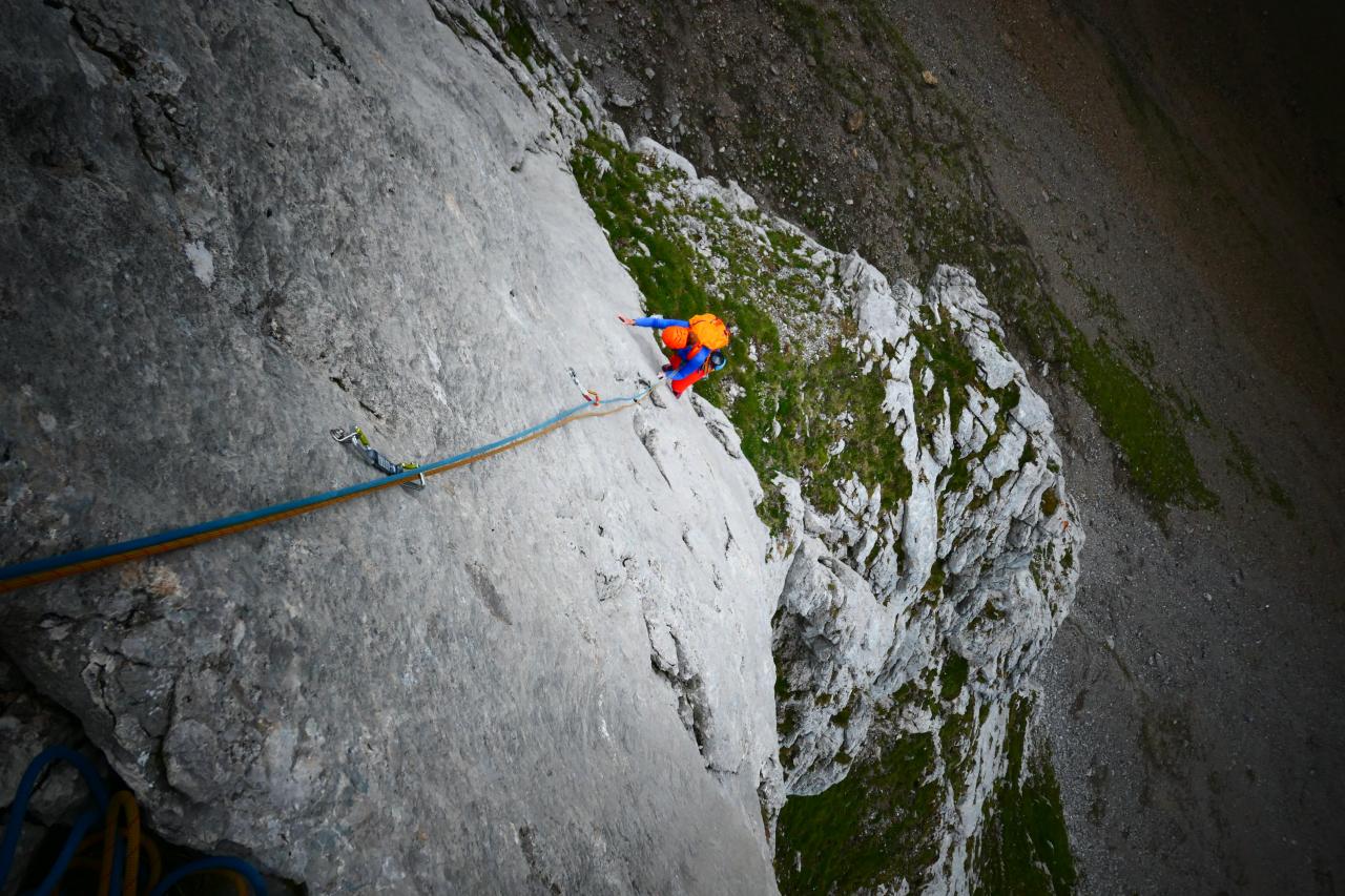La Mamule : Tonneau des Danaïdes | Nicolas ANNEREAU